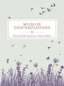 wildlife contemplations: reflections on our living world