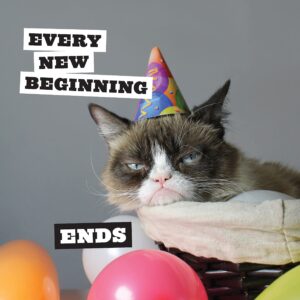 Grumpy Cat 2023 Wall Calendar