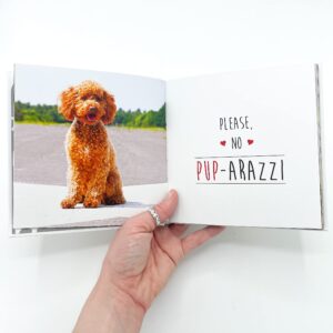 Love is a Cockapoo: A Dog-tastic Celebration of the World's Cutest Breed