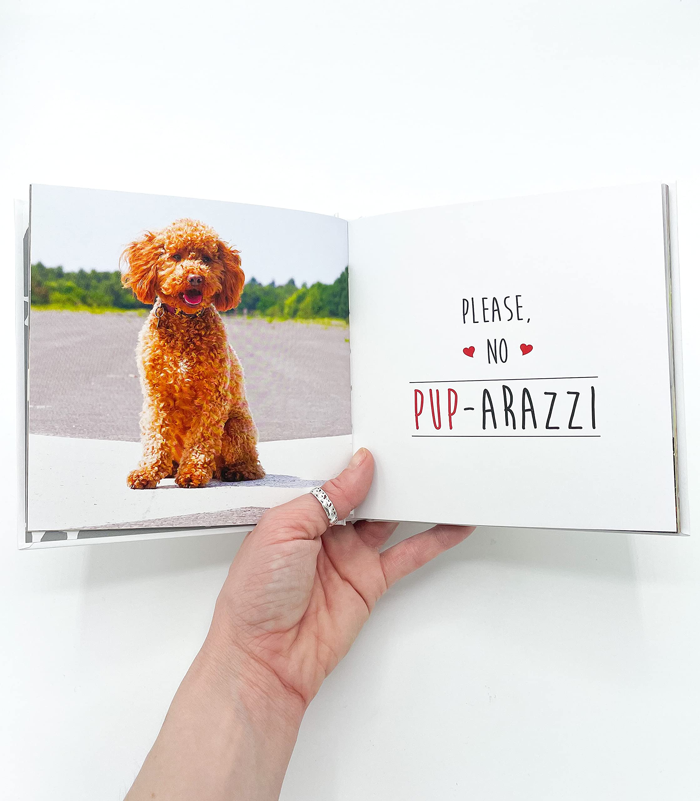 Love is a Cockapoo: A Dog-tastic Celebration of the World's Cutest Breed