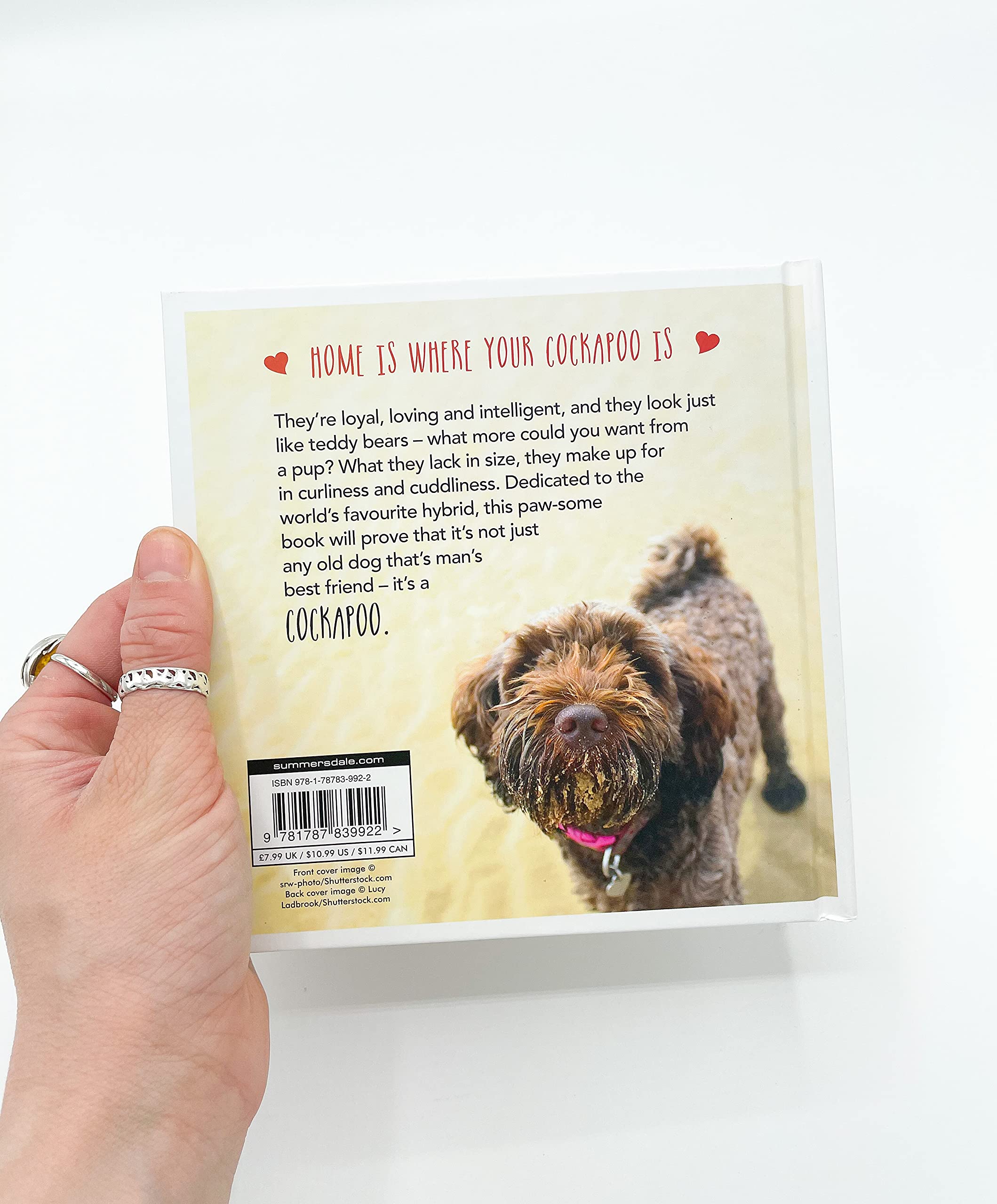 Love is a Cockapoo: A Dog-tastic Celebration of the World's Cutest Breed