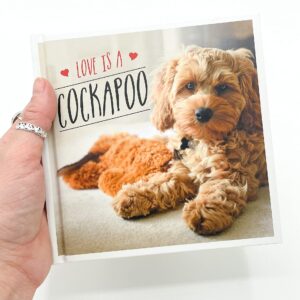 Love is a Cockapoo: A Dog-tastic Celebration of the World's Cutest Breed