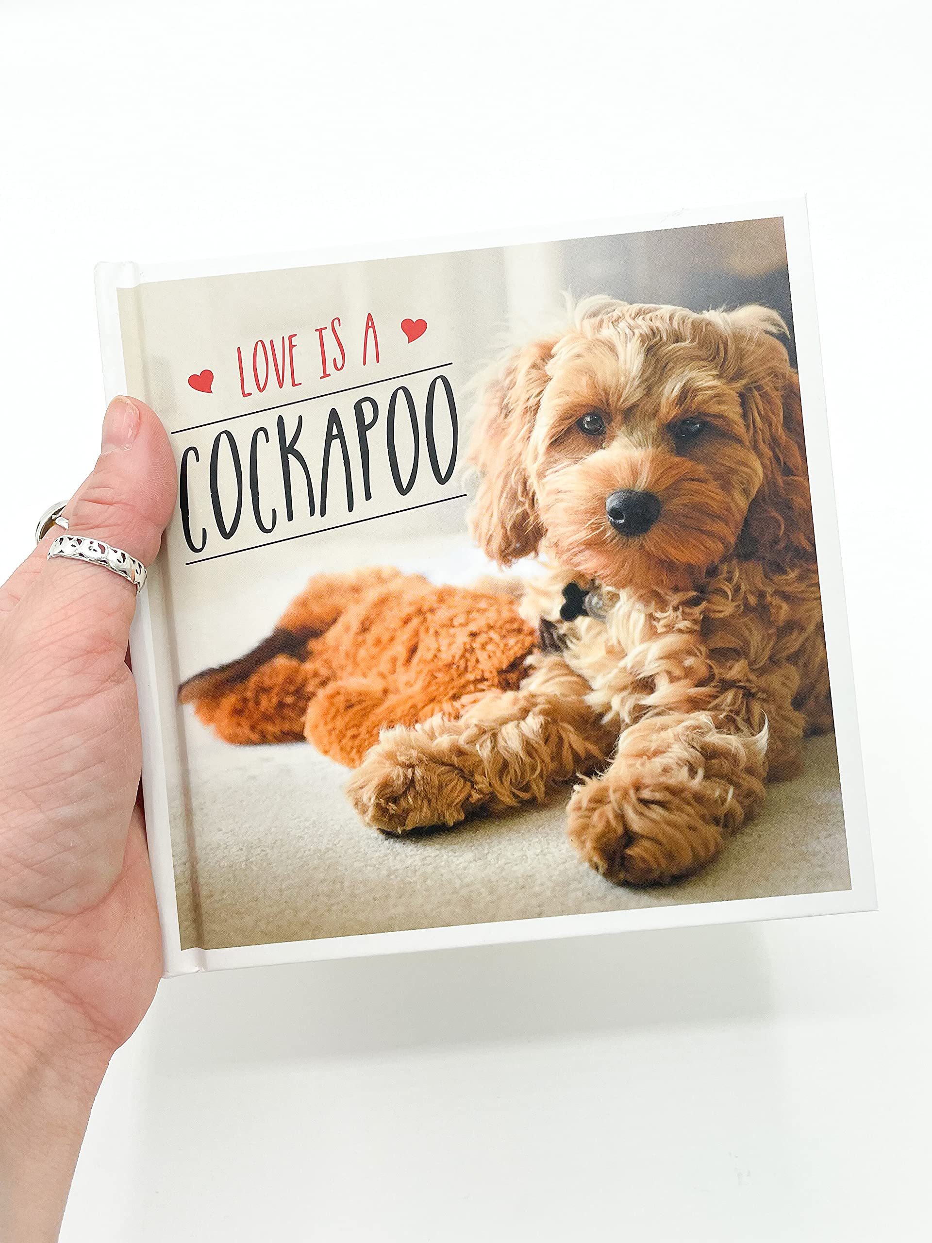 Love is a Cockapoo: A Dog-tastic Celebration of the World's Cutest Breed