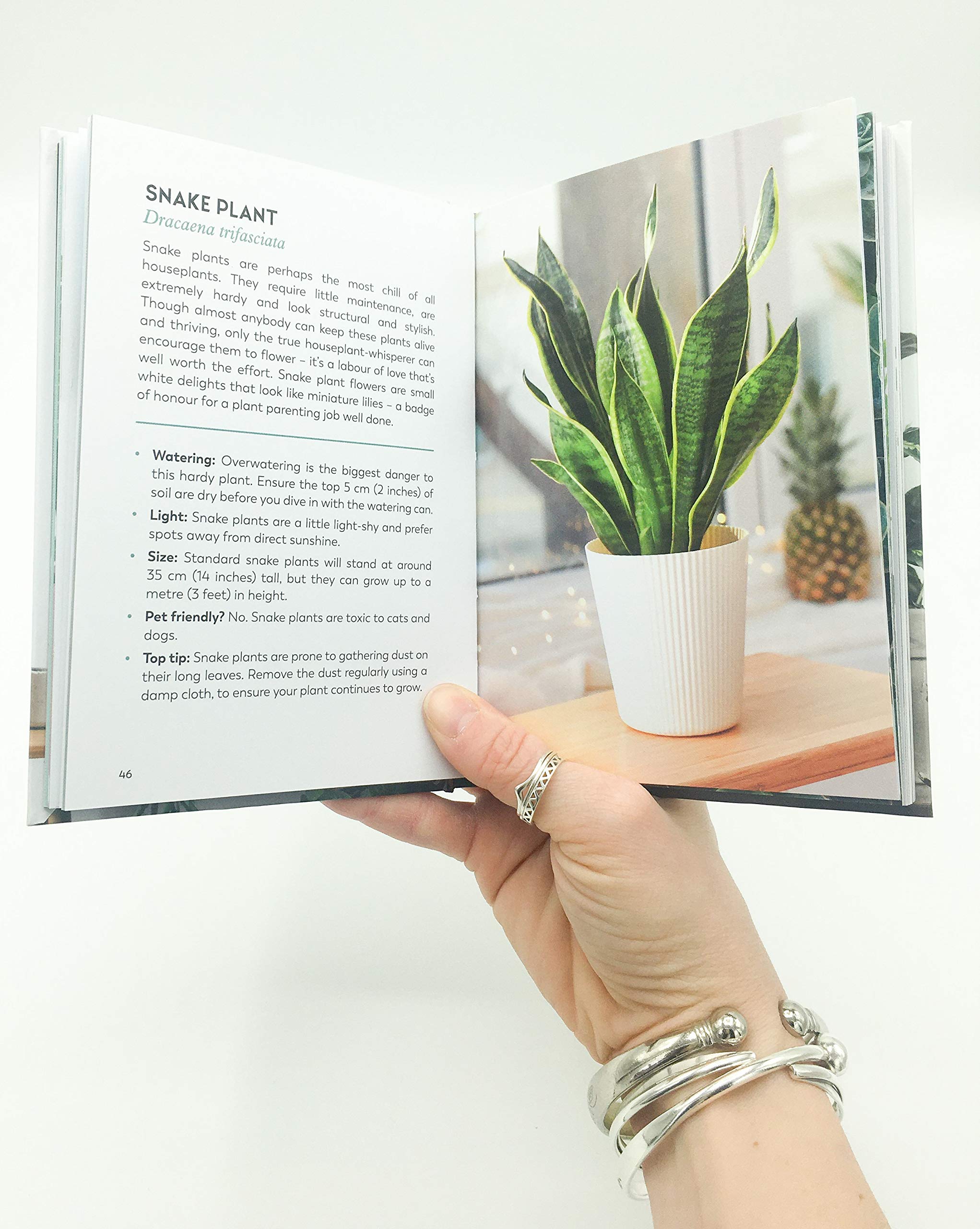 The Little Book for Plant Parents: Simple Tips to Help You Grow Your Own Urban Jungle