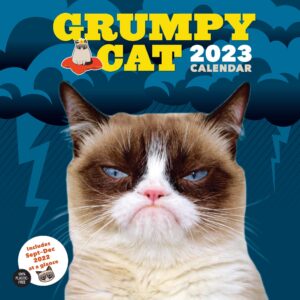 grumpy cat 2023 wall calendar