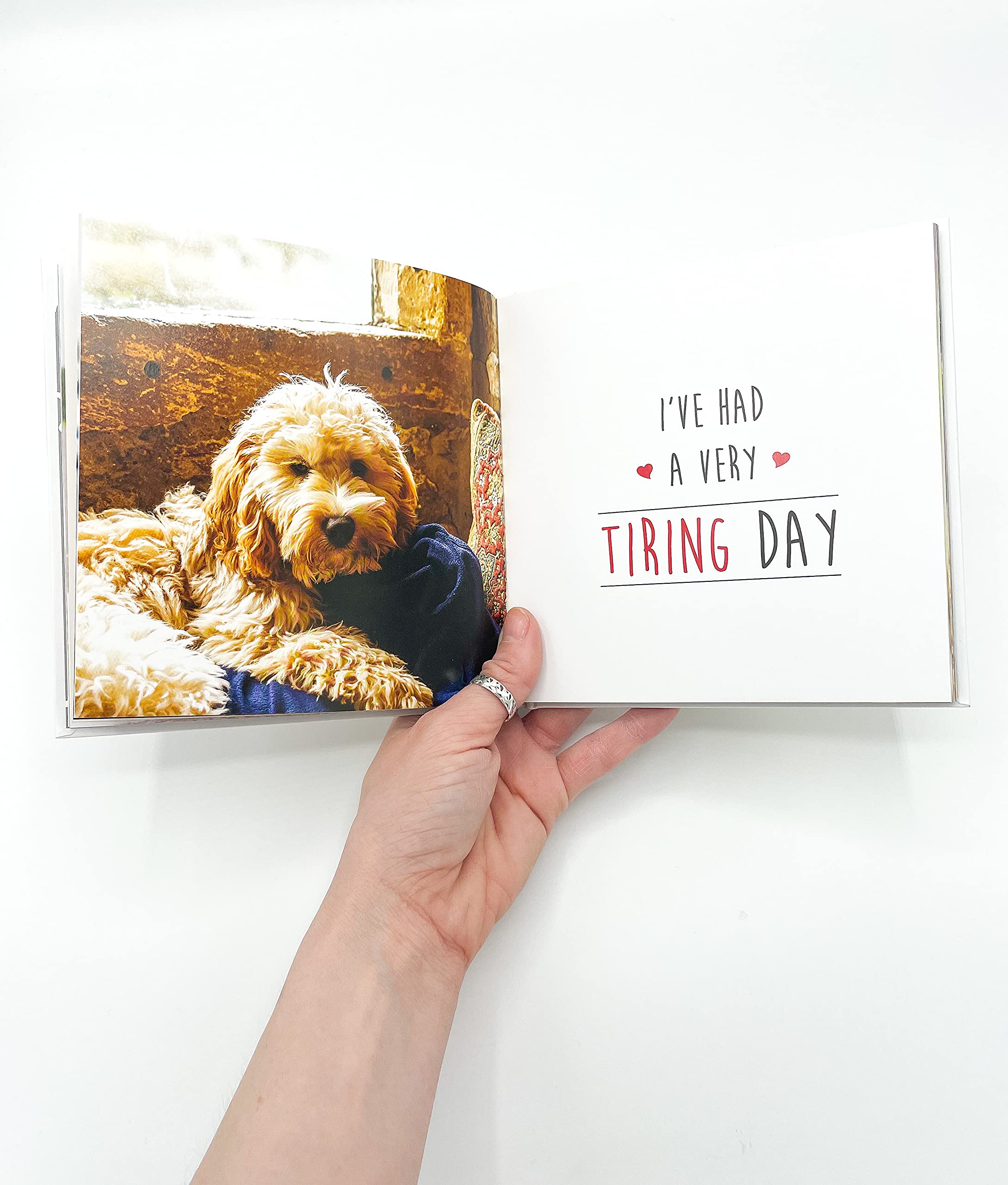 Love is a Cockapoo: A Dog-tastic Celebration of the World's Cutest Breed