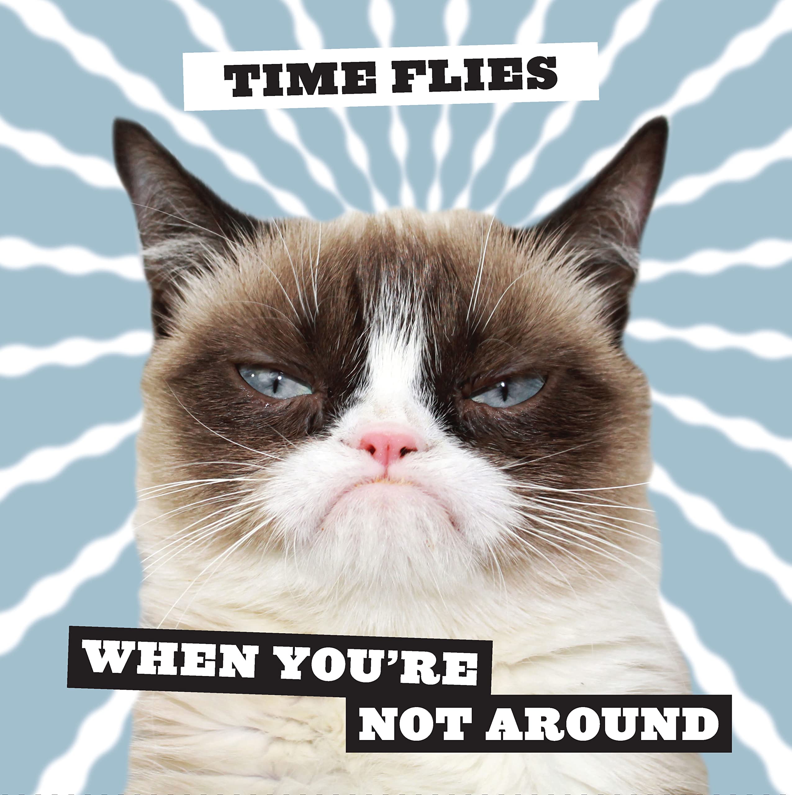 Grumpy Cat 2023 Wall Calendar