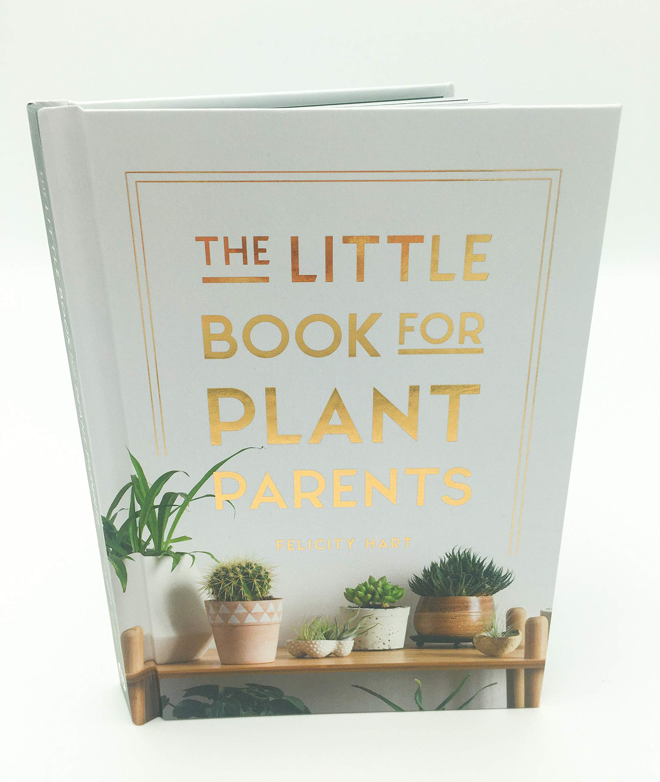 The Little Book for Plant Parents: Simple Tips to Help You Grow Your Own Urban Jungle