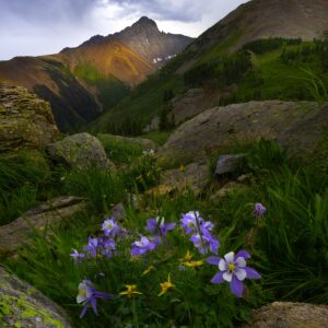 Colorado Calendar 2023 Scenic Landscapes 12X12" Wall Calendar