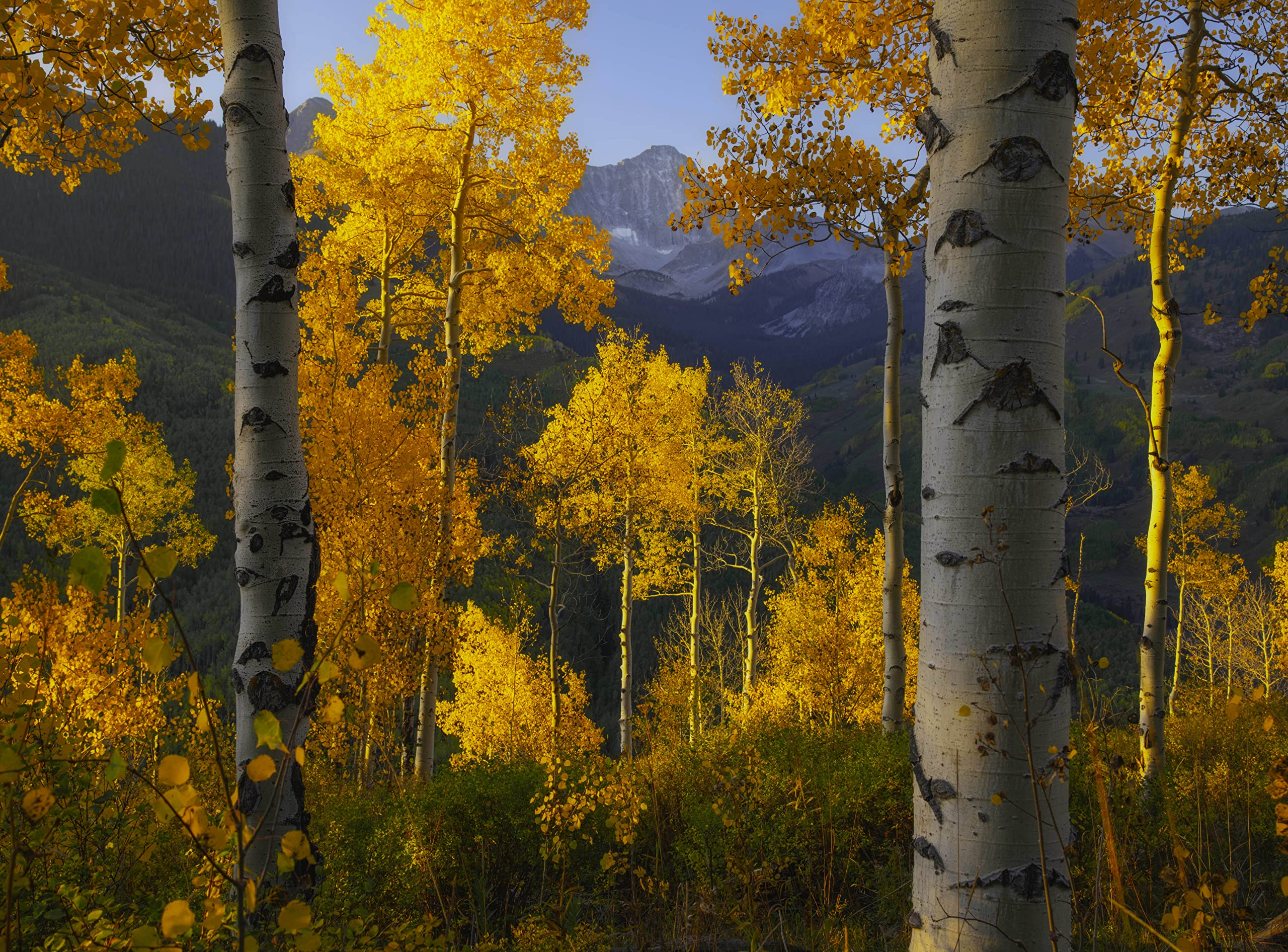 Colorado Calendar 2023 Scenic Landscapes 12X12" Wall Calendar