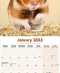 2023 Hamsters Wall Calendar