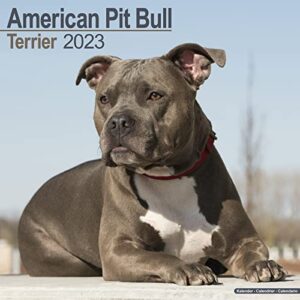 american pit bull terrier calendar - dog breed calendars - 2022 - 2023 wall calendars - 16 month by avonside