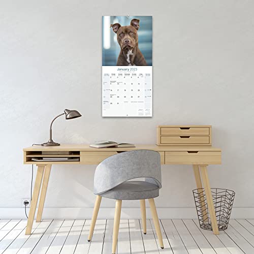 American Pit Bull Terrier Calendar - Dog Breed Calendars - 2022 - 2023 wall calendars - 16 Month by Avonside