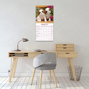 Cavalier King Charles Spaniel Calendar - Dog Breed Calendars - 2022 - 2023 wall calendars - 16 Month by Avonside