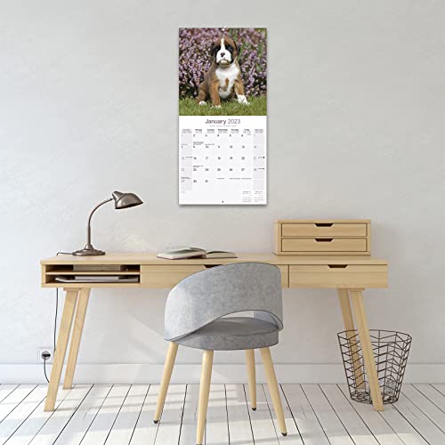 Boxer Dog Calendar - Dog Breed Calendars - 2022 - 2023 wall calendars - 16 Month by Avonside