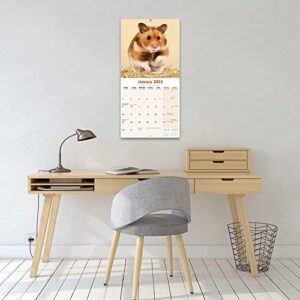 2023 Hamsters Wall Calendar