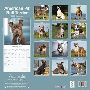 American Pit Bull Terrier Calendar - Dog Breed Calendars - 2022 - 2023 wall calendars - 16 Month by Avonside