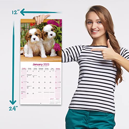 Cavalier King Charles Spaniel Calendar - Dog Breed Calendars - 2022 - 2023 wall calendars - 16 Month by Avonside