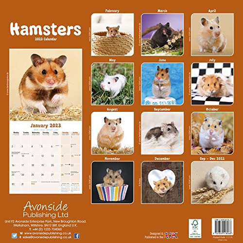 2023 Hamsters Wall Calendar