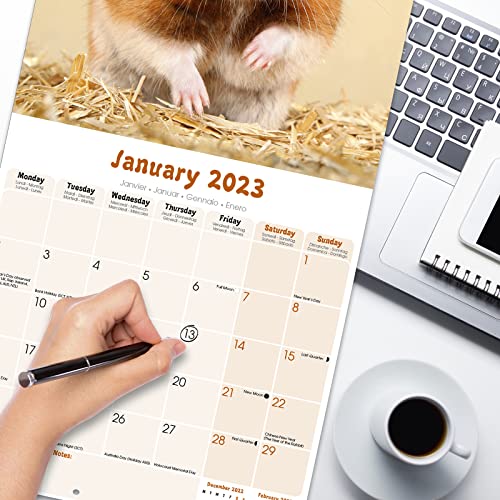 2023 Hamsters Wall Calendar