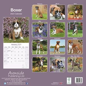 Boxer Dog Calendar - Dog Breed Calendars - 2022 - 2023 wall calendars - 16 Month by Avonside