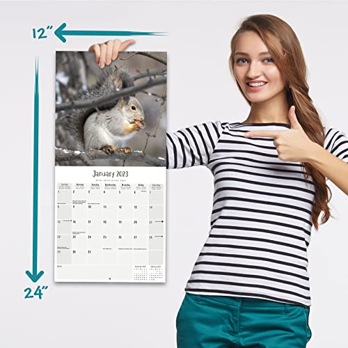 Squirrel Calendar - Cute Animal Calendar - Calendars 2022 - 2023 Wall Calendars - Animal Calendar - Squirrels 16 Month Wall Calendar by Avonside