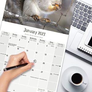 Squirrel Calendar - Cute Animal Calendar - Calendars 2022 - 2023 Wall Calendars - Animal Calendar - Squirrels 16 Month Wall Calendar by Avonside