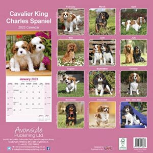 Cavalier King Charles Spaniel Calendar - Dog Breed Calendars - 2022 - 2023 wall calendars - 16 Month by Avonside