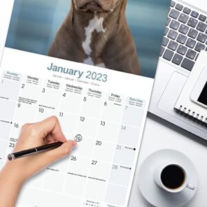 American Pit Bull Terrier Calendar - Dog Breed Calendars - 2022 - 2023 wall calendars - 16 Month by Avonside