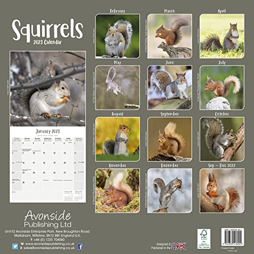 Squirrel Calendar - Cute Animal Calendar - Calendars 2022 - 2023 Wall Calendars - Animal Calendar - Squirrels 16 Month Wall Calendar by Avonside