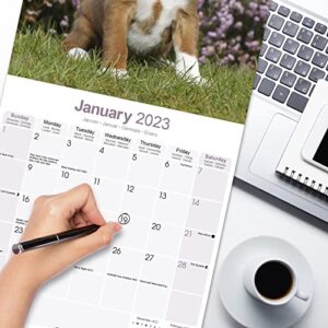 Boxer Dog Calendar - Dog Breed Calendars - 2022 - 2023 wall calendars - 16 Month by Avonside