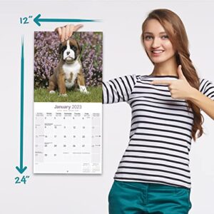 Boxer Dog Calendar - Dog Breed Calendars - 2022 - 2023 wall calendars - 16 Month by Avonside