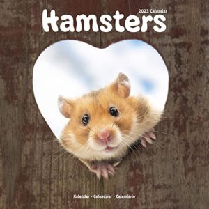 2023 hamsters wall calendar