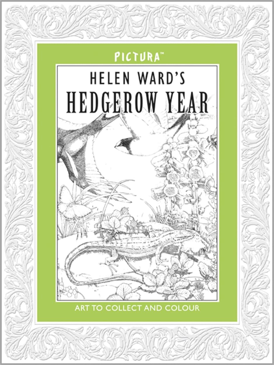 Pictura: Hedgerow Year