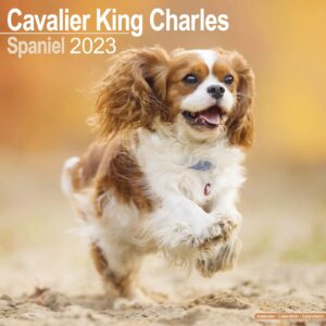 cavalier king charles spaniel calendar - dog breed calendars - 2022 - 2023 wall calendars - 16 month by avonside