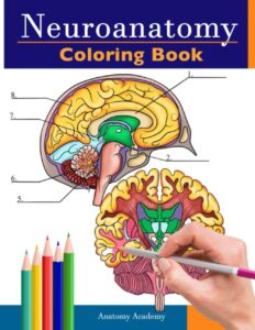 neuroanatomy coloring book: incredibly detailed self-test human brain coloring book for neuroscience | perfect gift for medical school students, nurses, doctors and adults