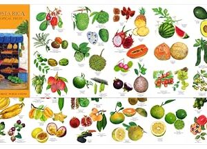 Costa Rica Tropical Fruits Identification Guide (Laminated Foldout Pocket Field Guide) (English and Spanish Edition)