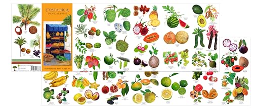 Costa Rica Tropical Fruits Identification Guide (Laminated Foldout Pocket Field Guide) (English and Spanish Edition)