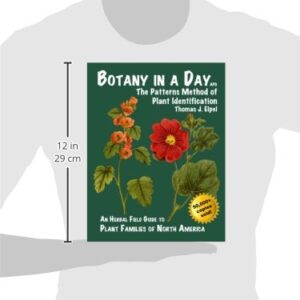 Botany in a Day: The Patterns Method of Plant Identification