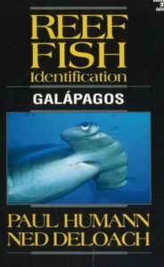 reef fish identification: galapagos