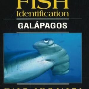 Reef Fish Identification: Galapagos