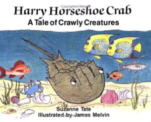 harry horseshoe crab, a tale of crawly creatures