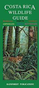 costa rica wildlife guide (laminated foldout pocket field guide) (english and spanish edition)