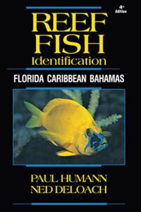 reef fish identification - florida caribbean bahamas - 4th edition (reef set)