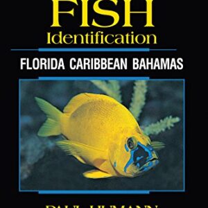 Reef Fish Identification - Florida Caribbean Bahamas - 4th Edition (Reef Set)