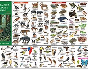 Costa Rica Wildlife Guide (Laminated Foldout Pocket Field Guide) (English and Spanish Edition)