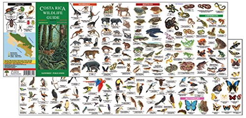 Costa Rica Wildlife Guide (Laminated Foldout Pocket Field Guide) (English and Spanish Edition)