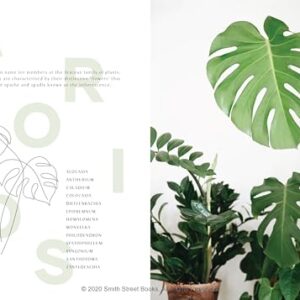 Plantopedia: The Definitive Guide to Houseplants