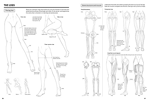 Drawing the Female Figure: A Guide for Manga, Hentai and Comic Book Artists