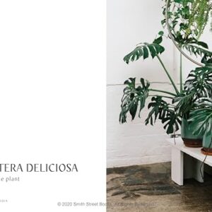 Plantopedia: The Definitive Guide to Houseplants